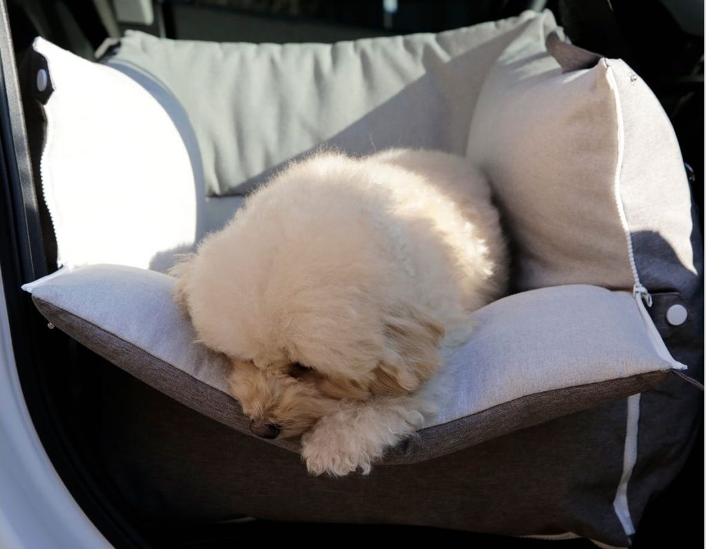 Scaun auto premium transformabil in cos, husa, geanta si culcus, Etryon ...